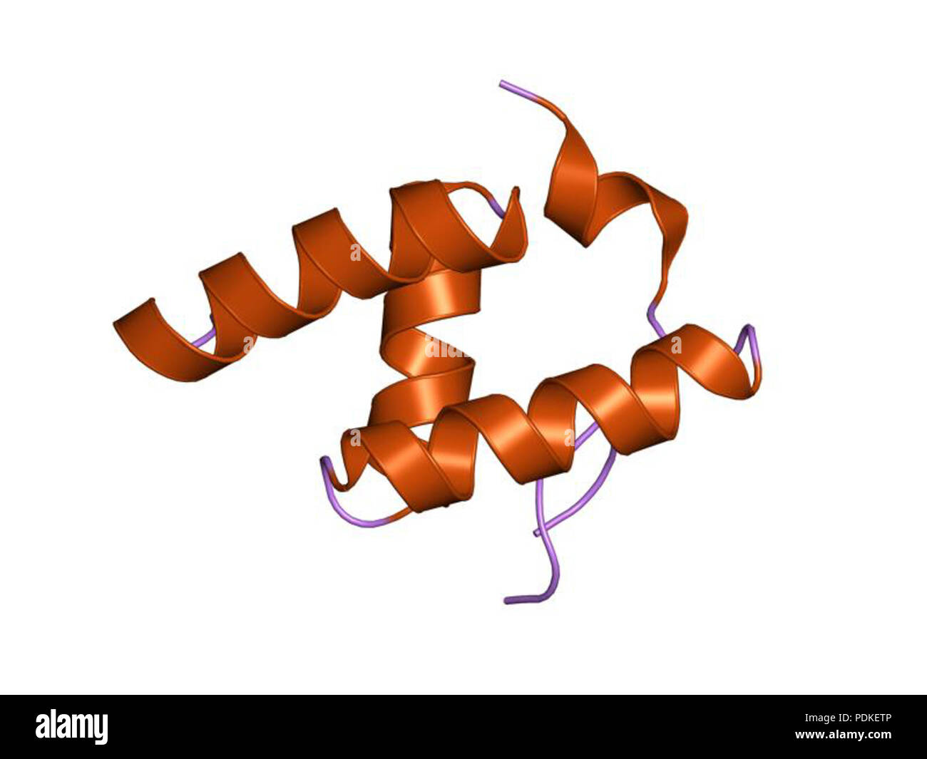 1oai hi-res stock photography and images - Alamy