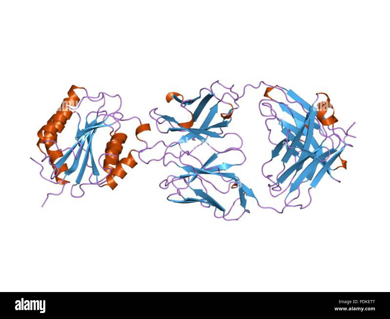 1oak hi-res stock photography and images - Alamy