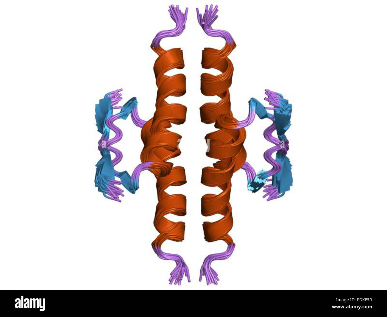 94 PDB 1pet EBI Stock Photo - Alamy