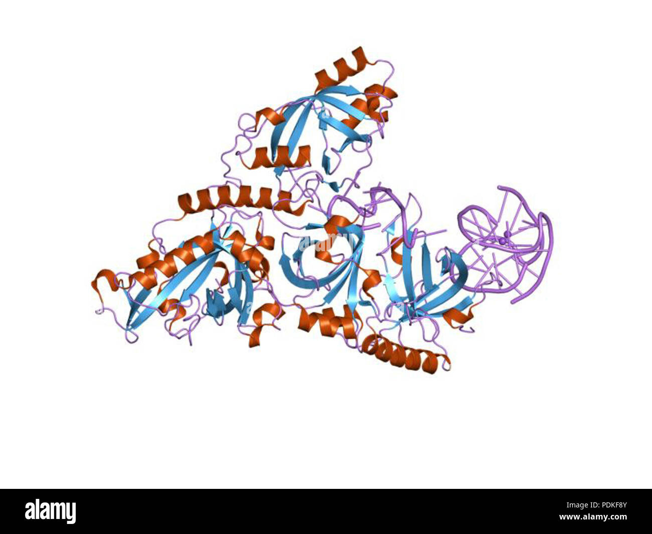 94 PDB 1ph4 EBI Stock Photo - Alamy