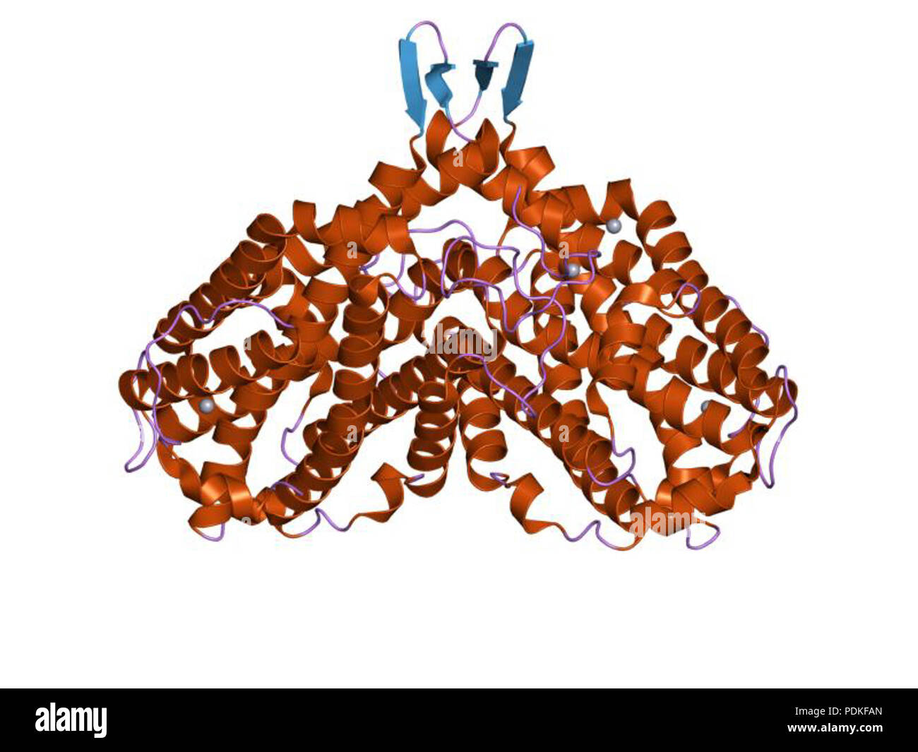 94 PDB 1pim EBI Stock Photo - Alamy