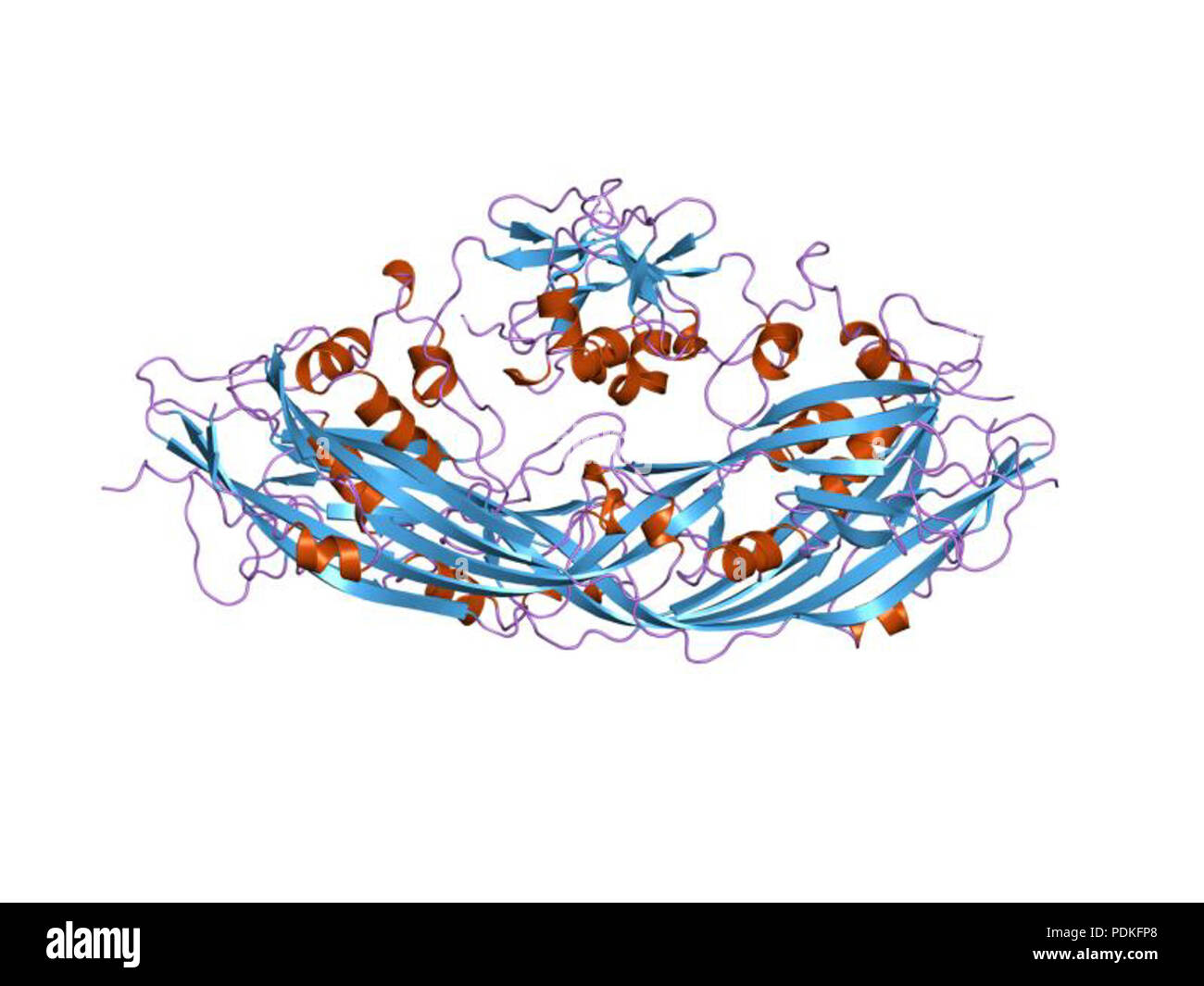 Pre scientific research Cut Out Stock Images & Pictures - Alamy