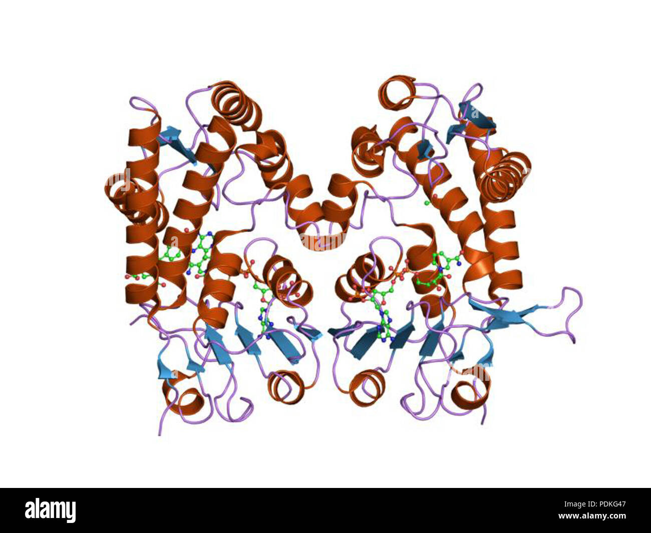 Value 24 Cut Out Stock Images & Pictures - Alamy