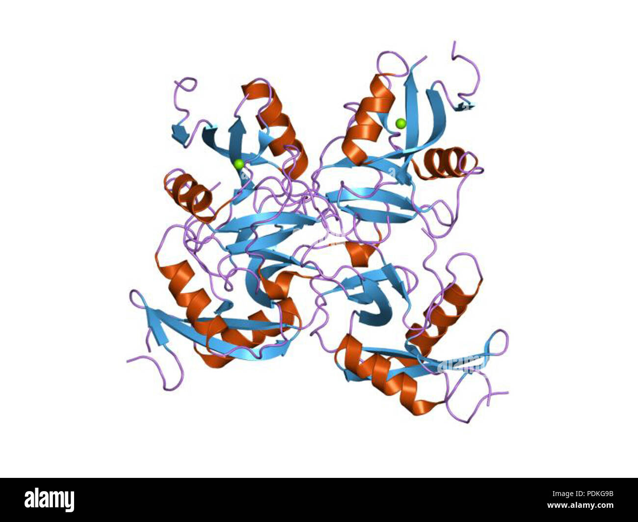 Ix 1 Cut Out Stock Images & Pictures - Alamy