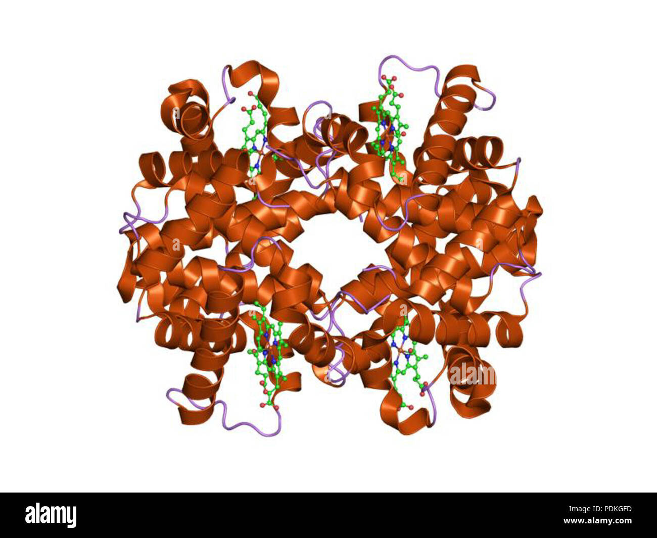 39 PDB 1g09 EBI Stock Photo - Alamy