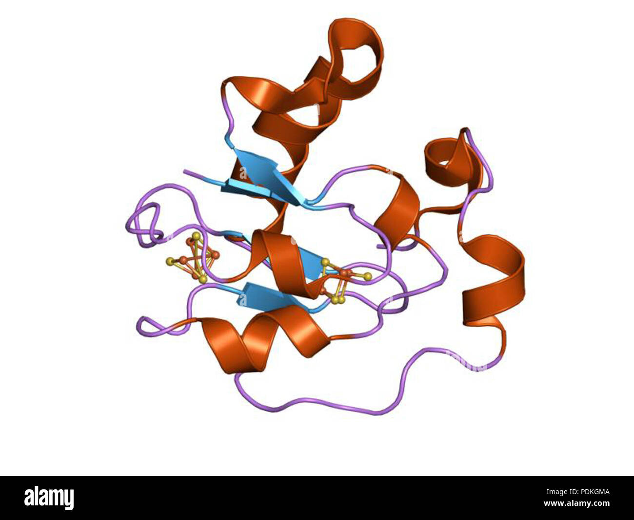 40 PDB 1g3o EBI Stock Photo - Alamy