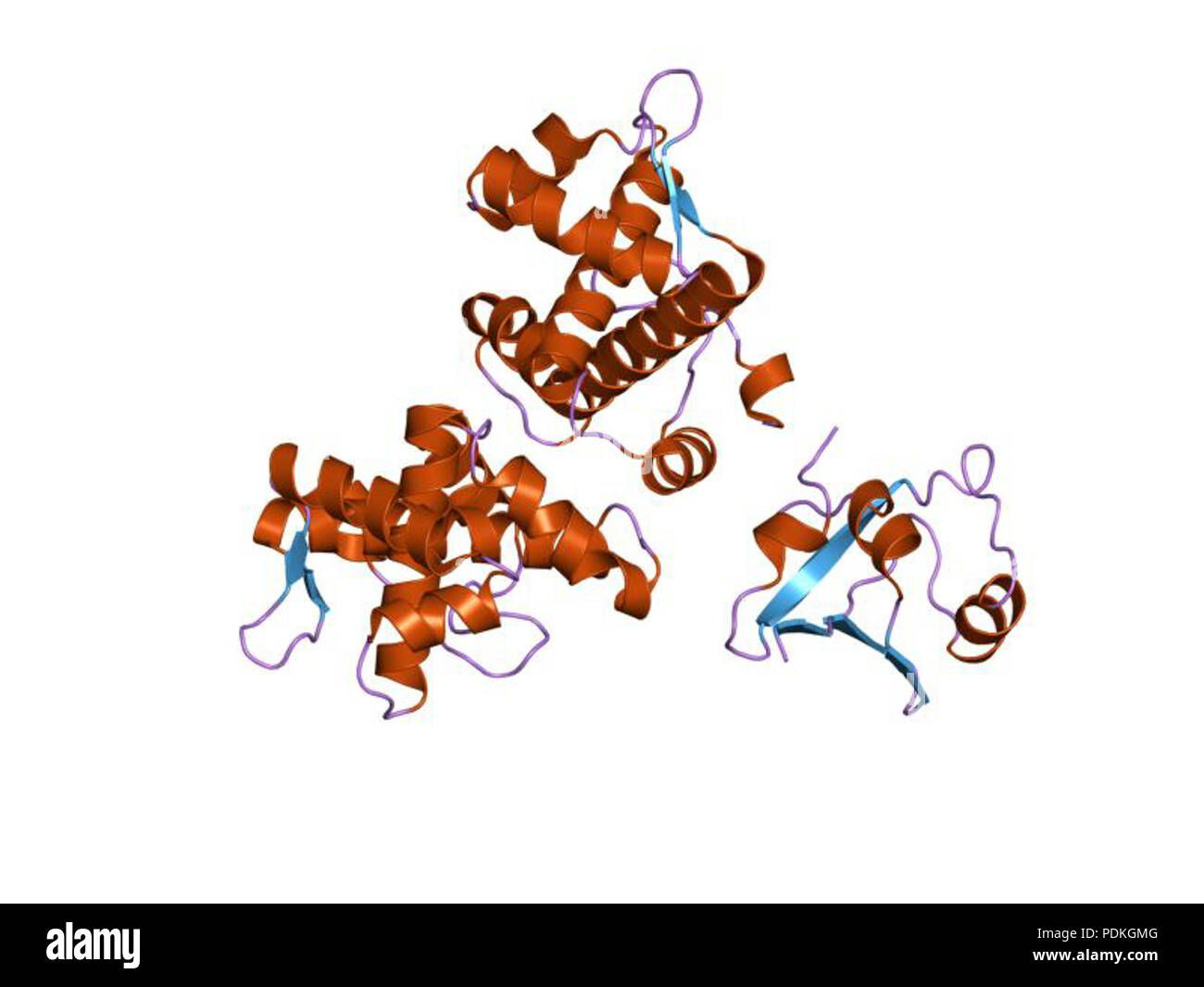 40 PDB 1g3t EBI Stock Photo - Alamy