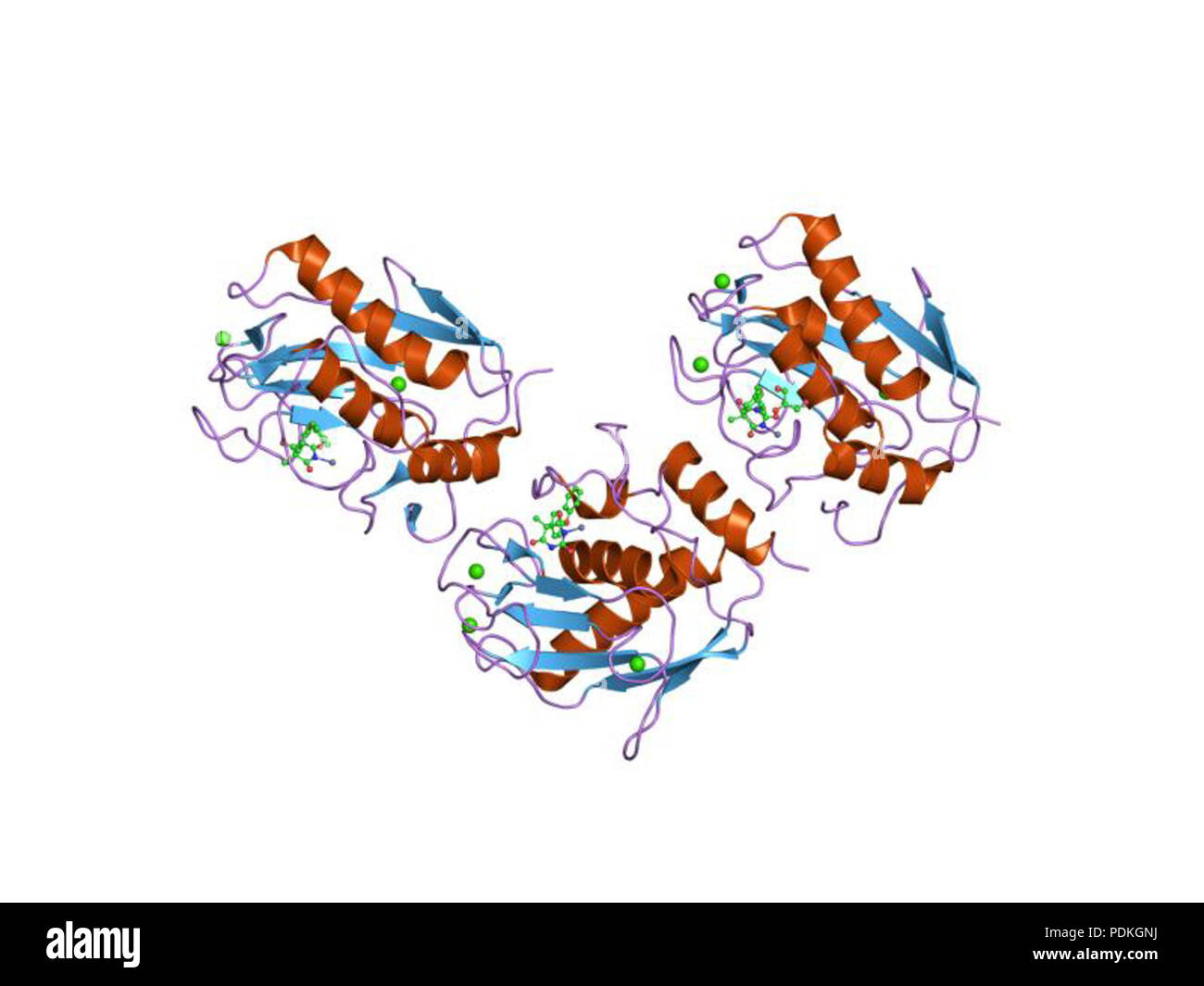 40 PDB 1g4k EBI Stock Photo - Alamy