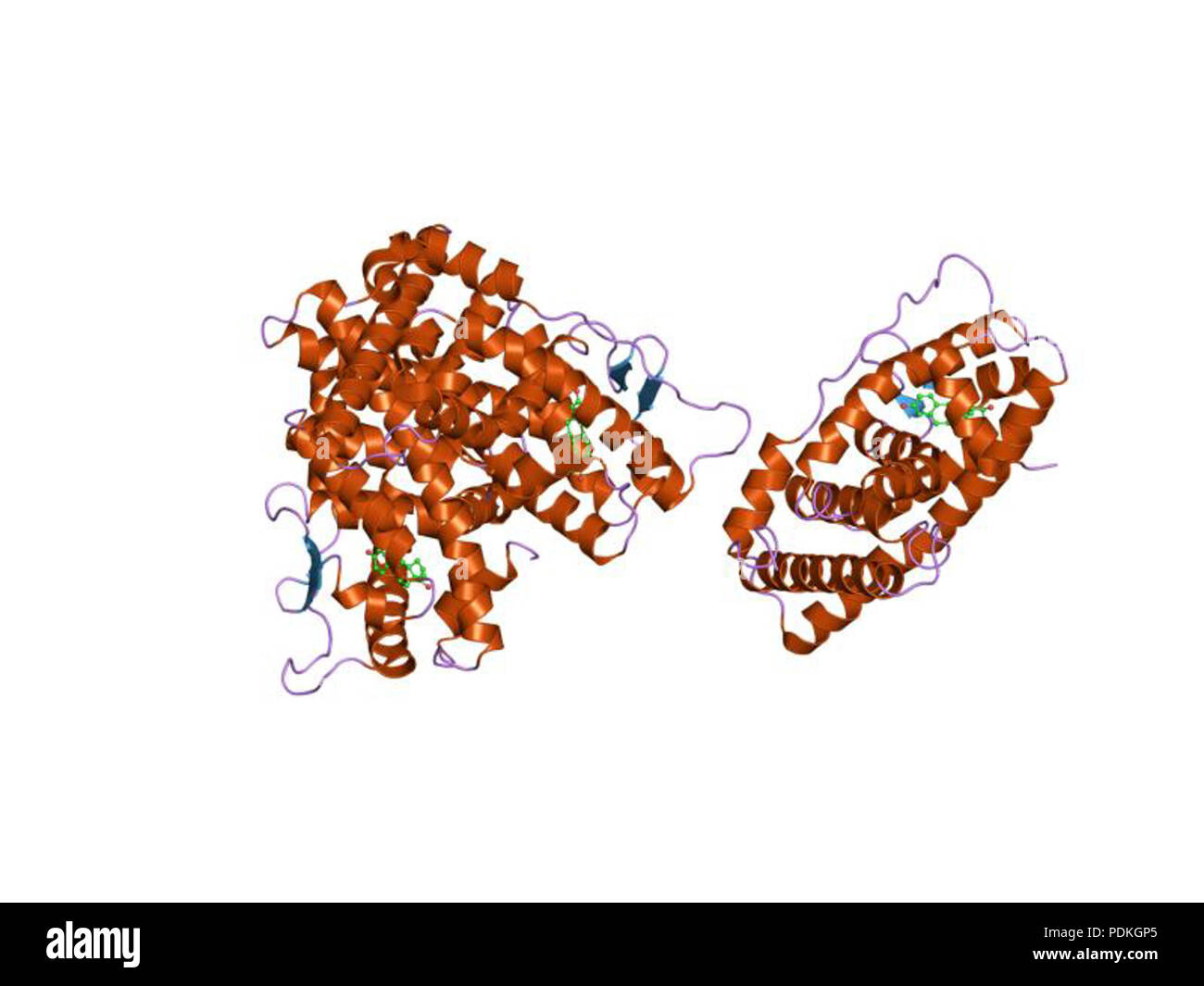 40 PDB 1g50 EBI Stock Photo - Alamy