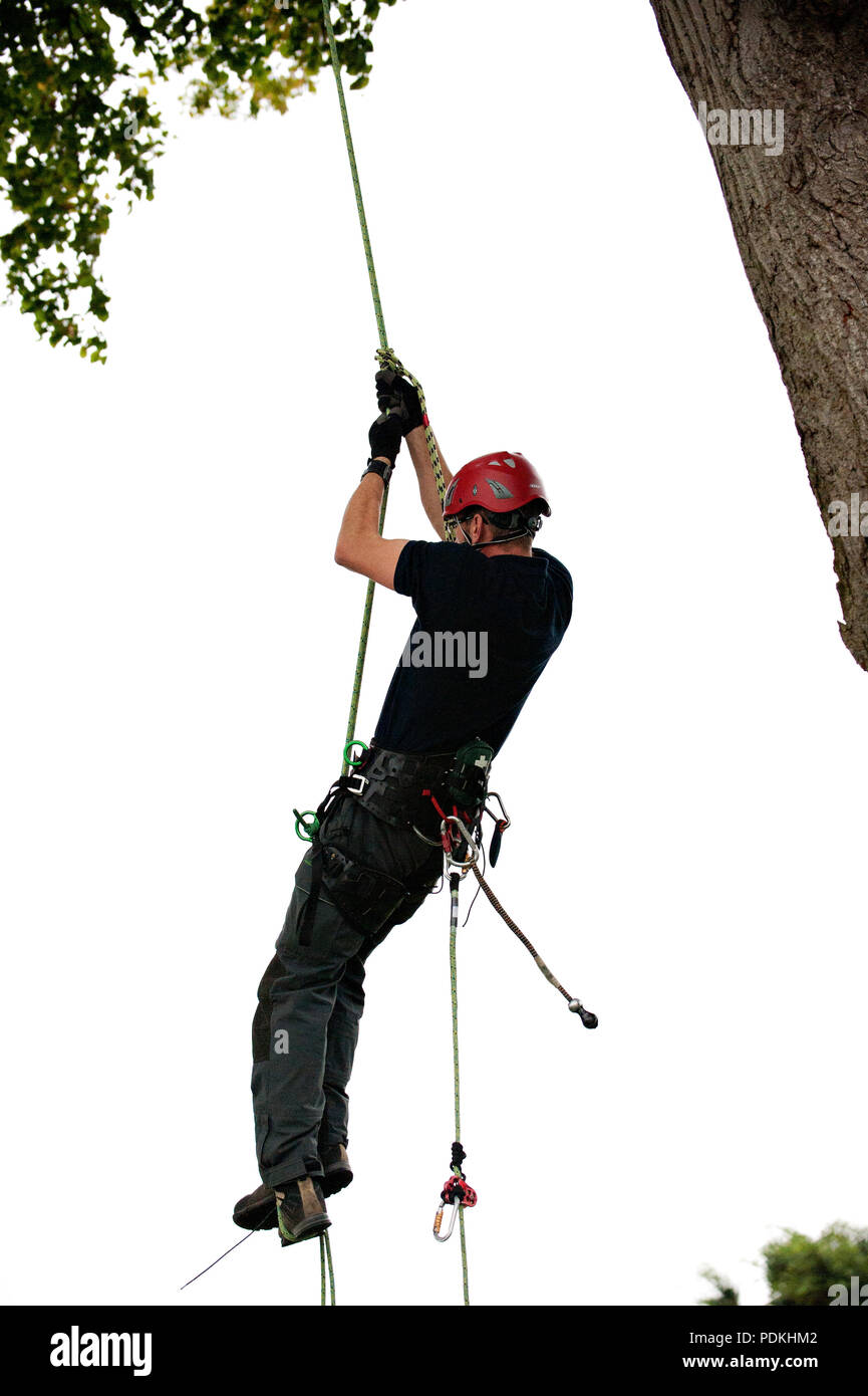 Rescue procedures hi-res stock photography and images - Alamy