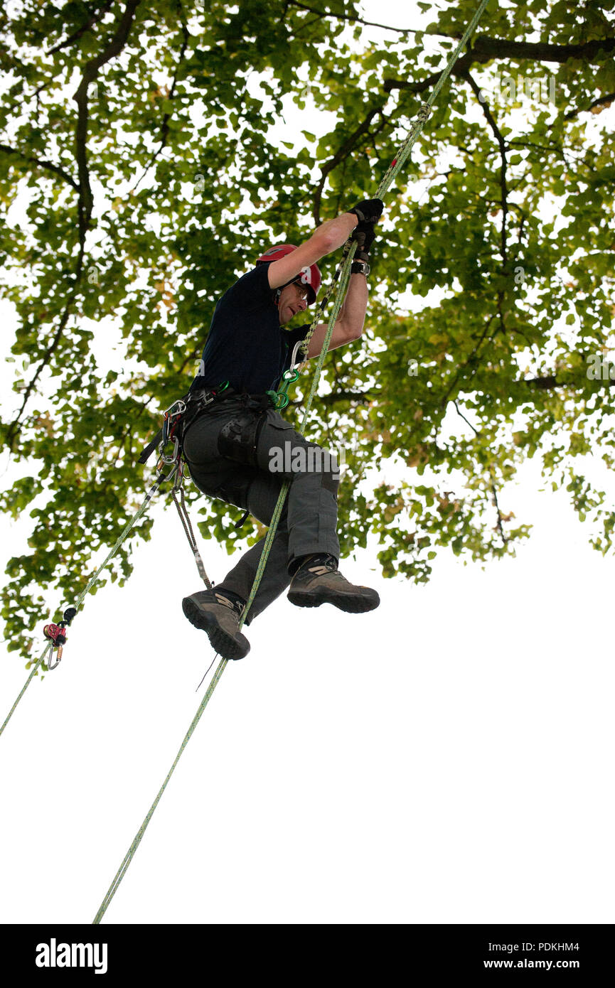 Demonstration of tree rescue techniques at the Conference for ...