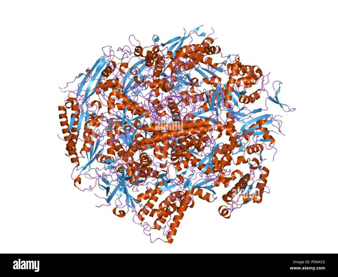 Biomolecule purification hi-res stock photography and images - Alamy