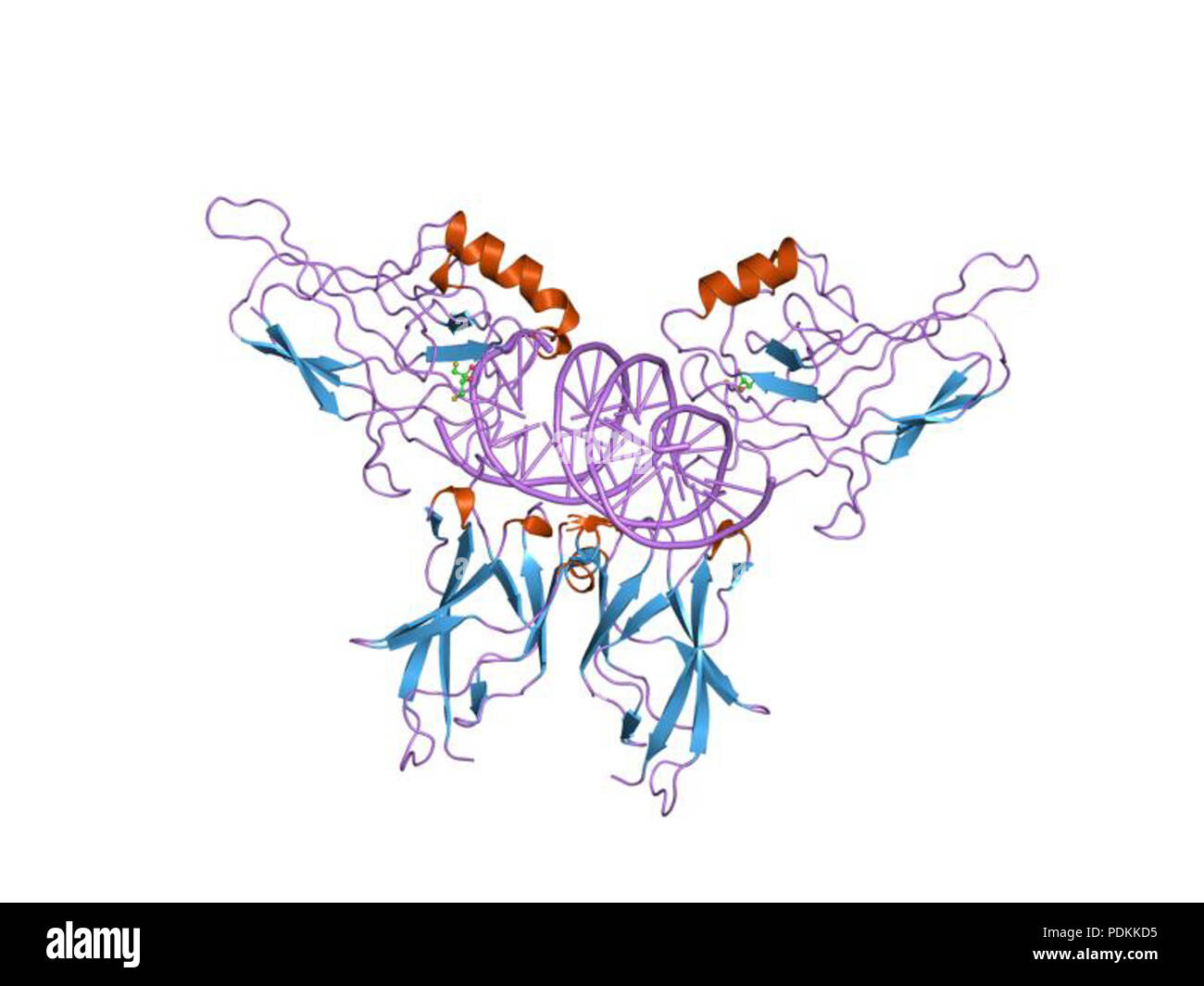 104 PDB 1ram EBI Stock Photo - Alamy