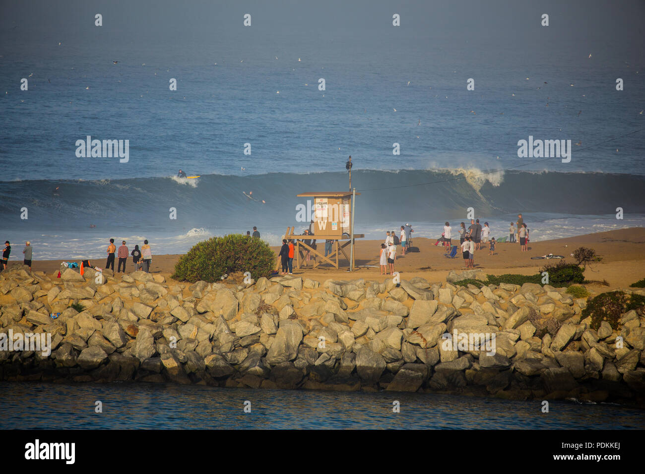 The famous big wave surfing spot The Wedge Balboa peninsula Newport ...