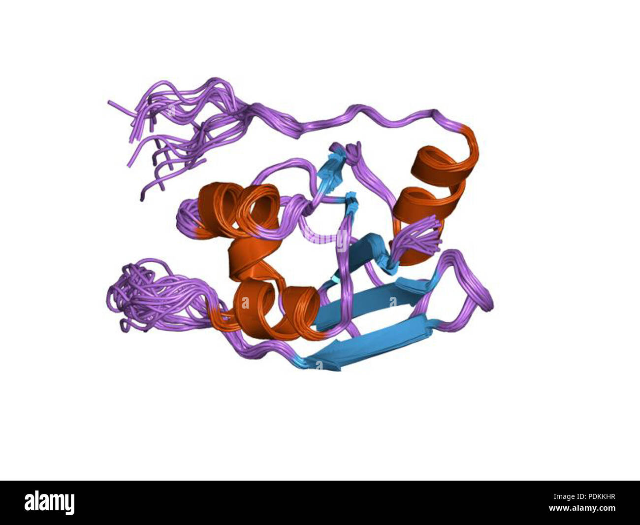 105 PDB 1rdu EBI Stock Photo - Alamy