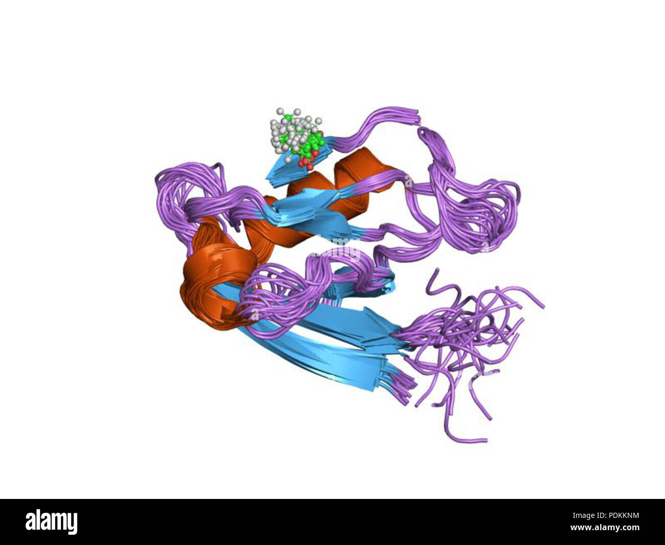Microscopic techniques Cut Out Stock Images & Pictures - Alamy