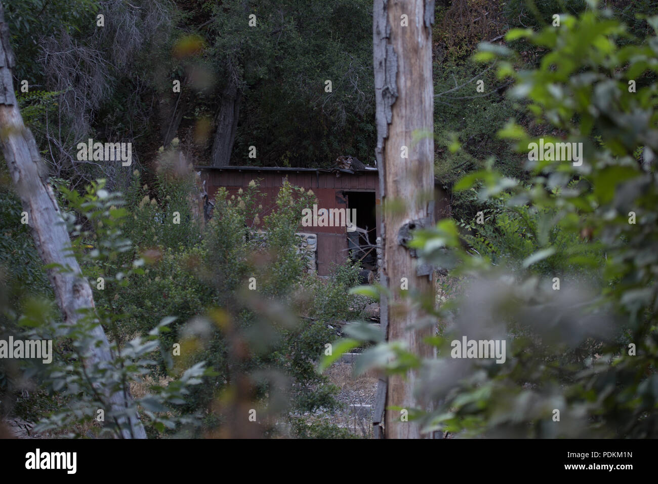 Holy jim trail head cabins hi-res stock photography and images - Alamy