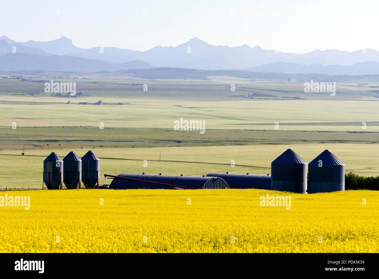 Grain Silo and canola fields in full bloom in a rural prairie landscape ...