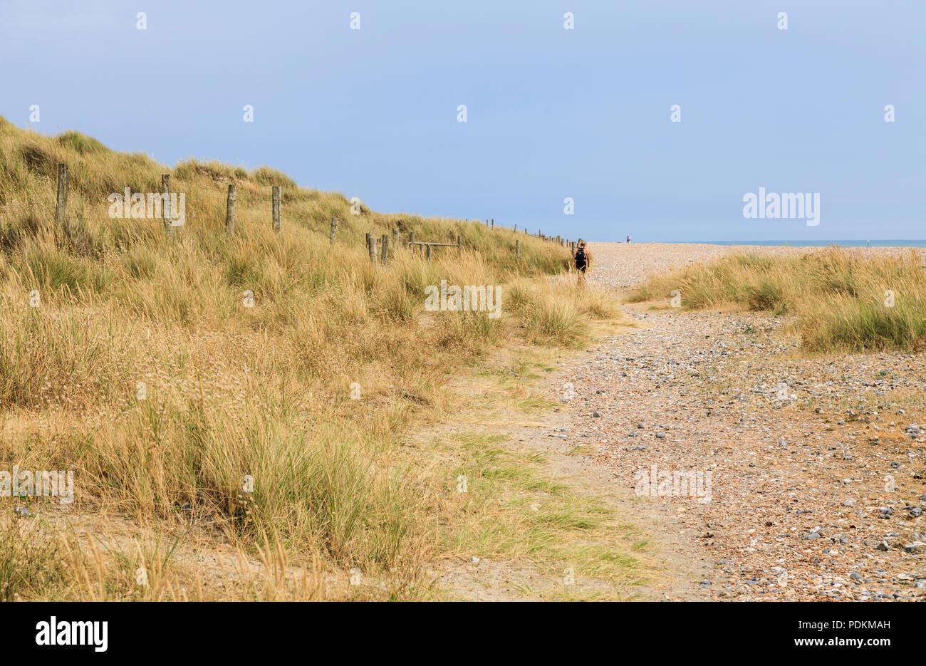 West Beach sand dunes in the Climping Beach SSSI local nature reserve ...