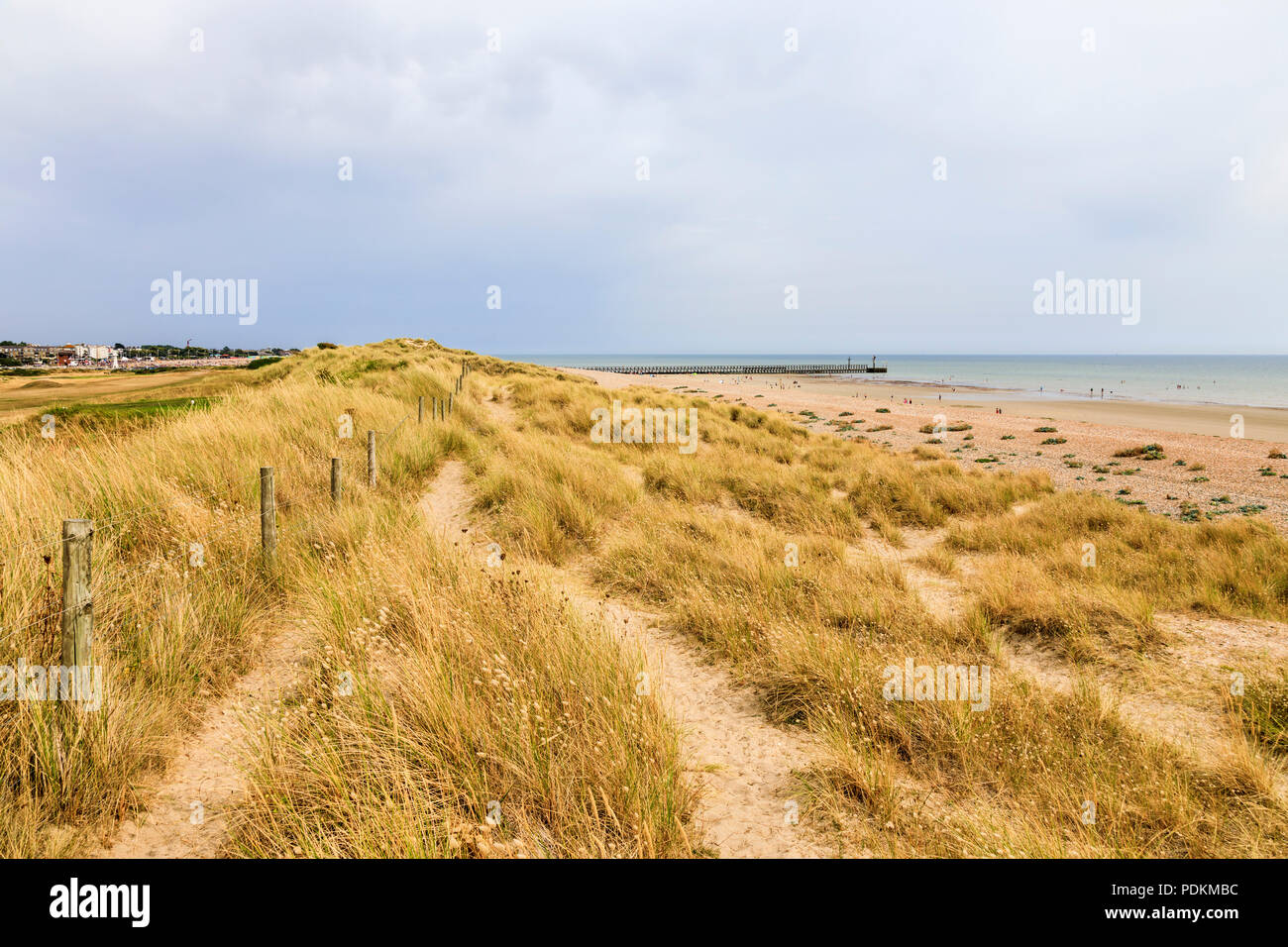 West Beach sand dunes in the Climping Beach SSSI local nature reserve ...