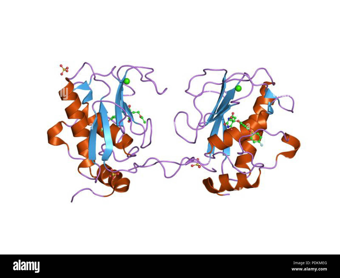 147 PDB 1you EBI Stock Photo - Alamy