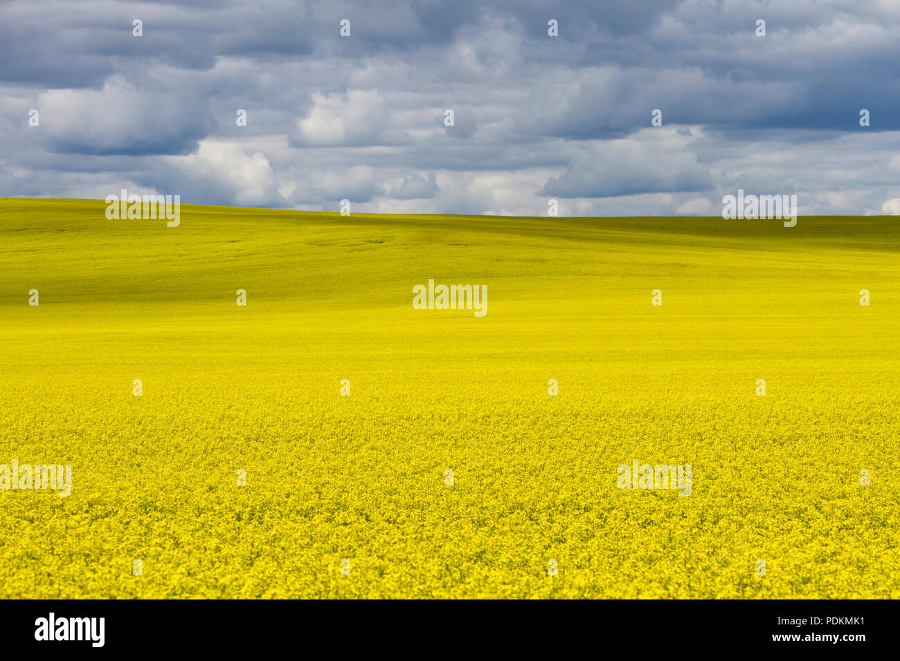 Alberta prairie sky hi-res stock photography and images - Alamy
