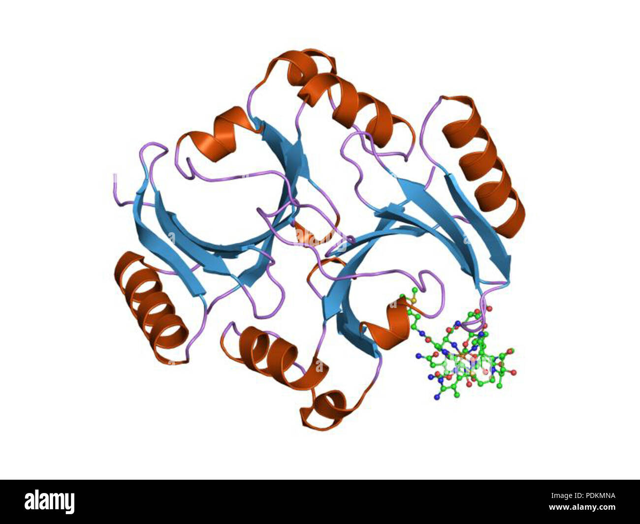 20th century military history hi-res stock photography and images - Alamy