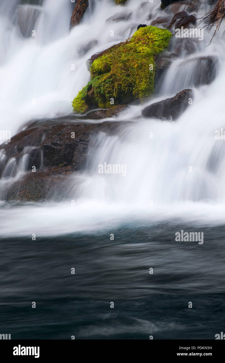 Metolius springs hi-res stock photography and images - Alamy
