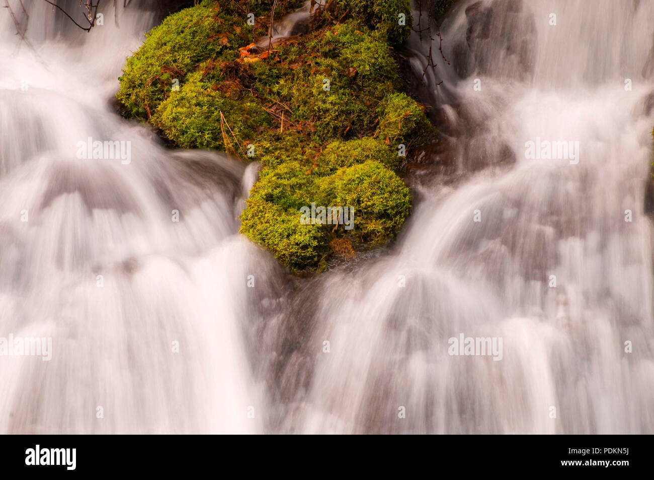 Metolius springs hi-res stock photography and images - Alamy