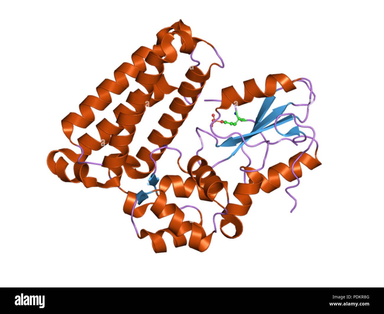 Entry record Cut Out Stock Images & Pictures - Alamy