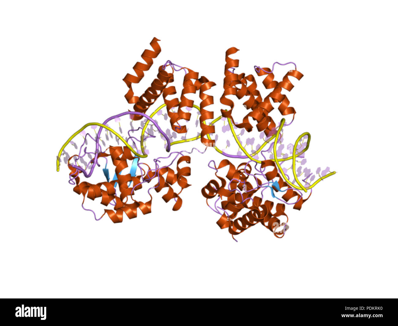 Number 263 Cut Out Stock Images & Pictures - Alamy