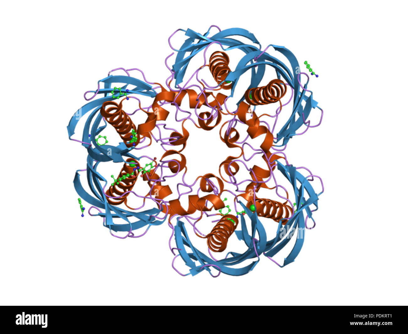 Specimen database hi-res stock photography and images - Alamy