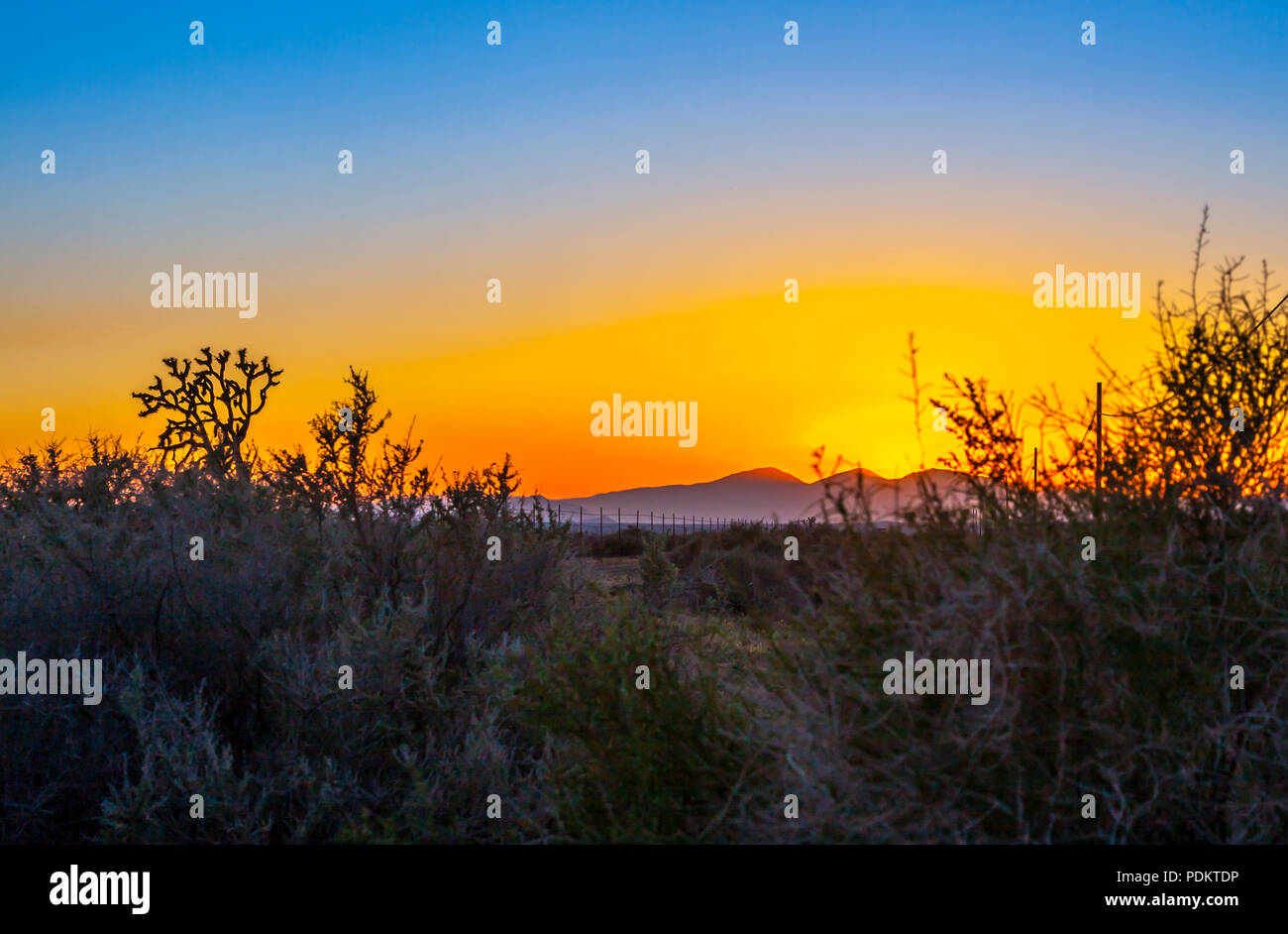 Mohave desert night hi-res stock photography and images - Alamy