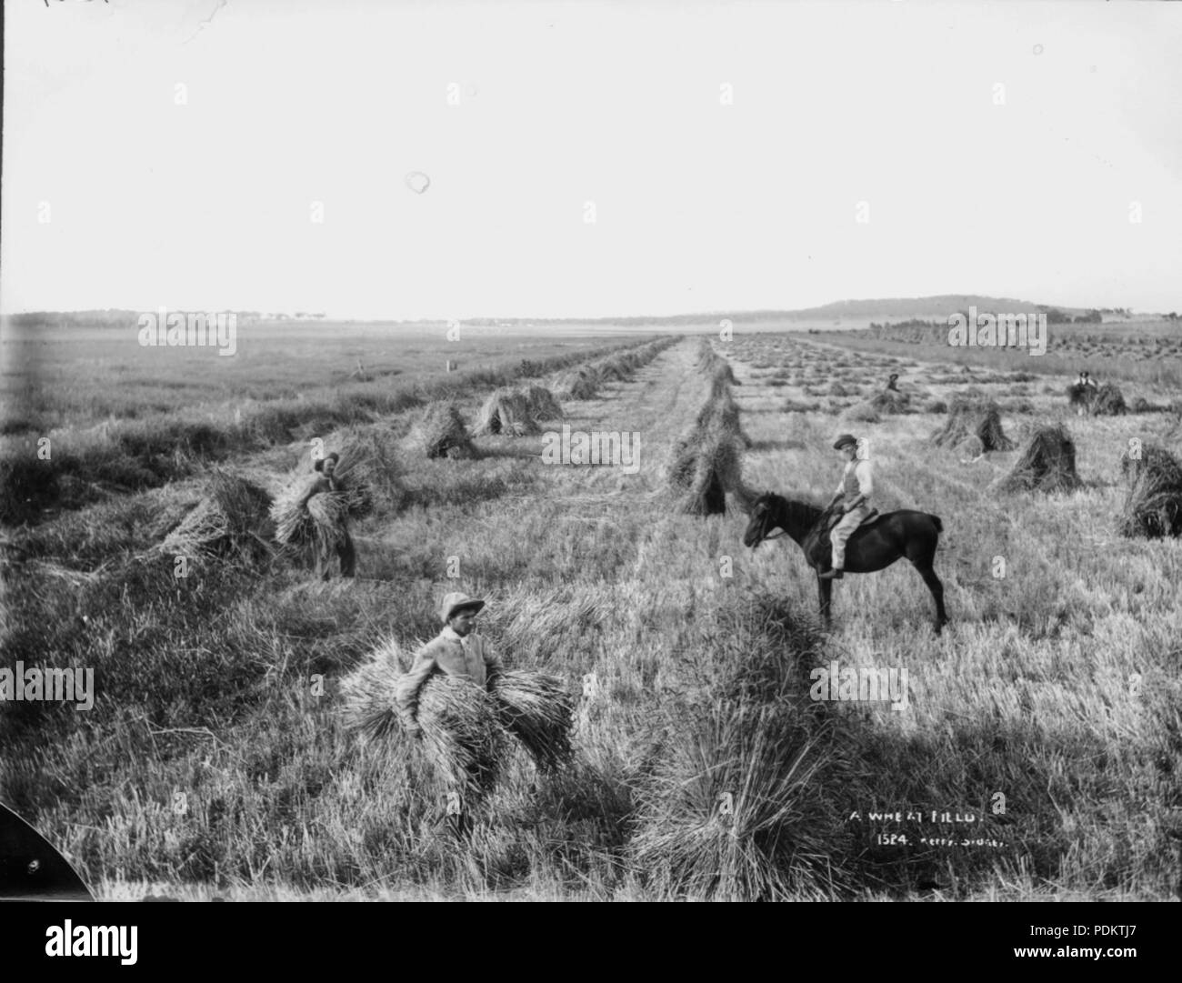 Agricultural field green Black and White Stock Photos & Images - Alamy