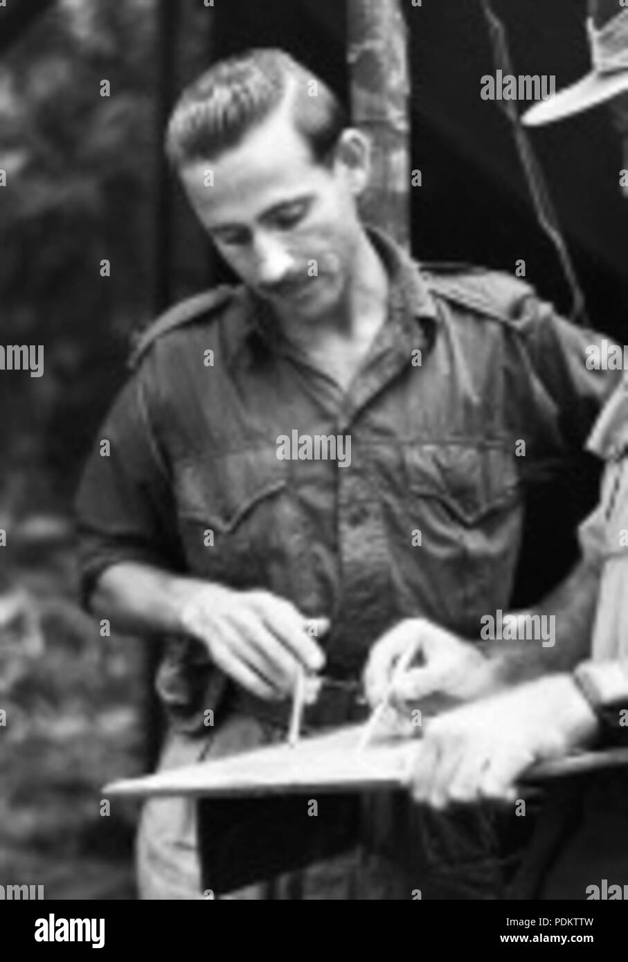 Basil herb plant Black and White Stock Photos & Images - Alamy