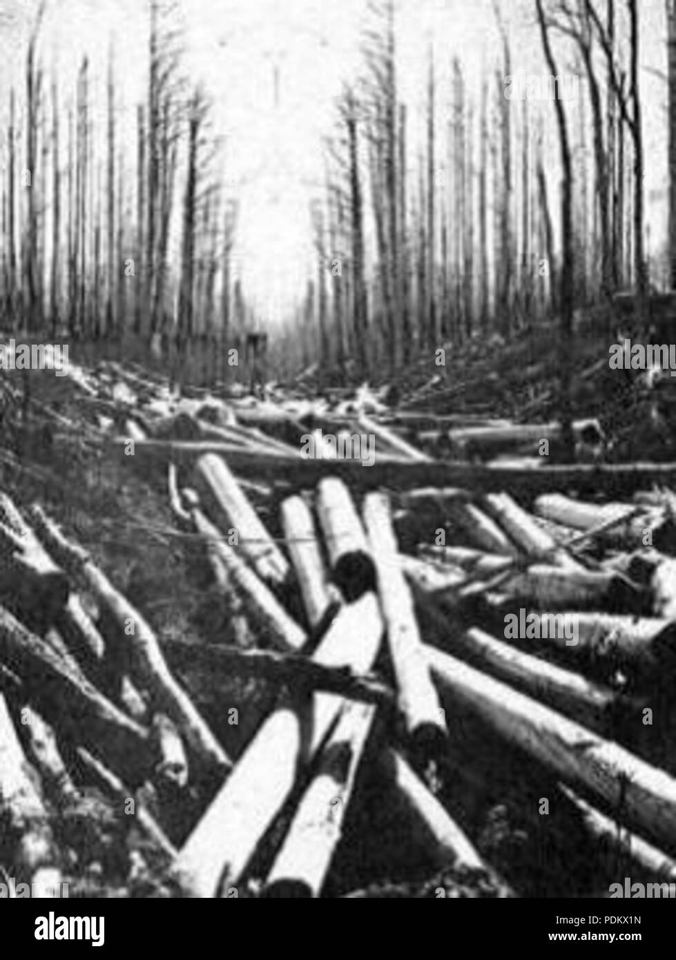 Mundic hi-res stock photography and images - Alamy