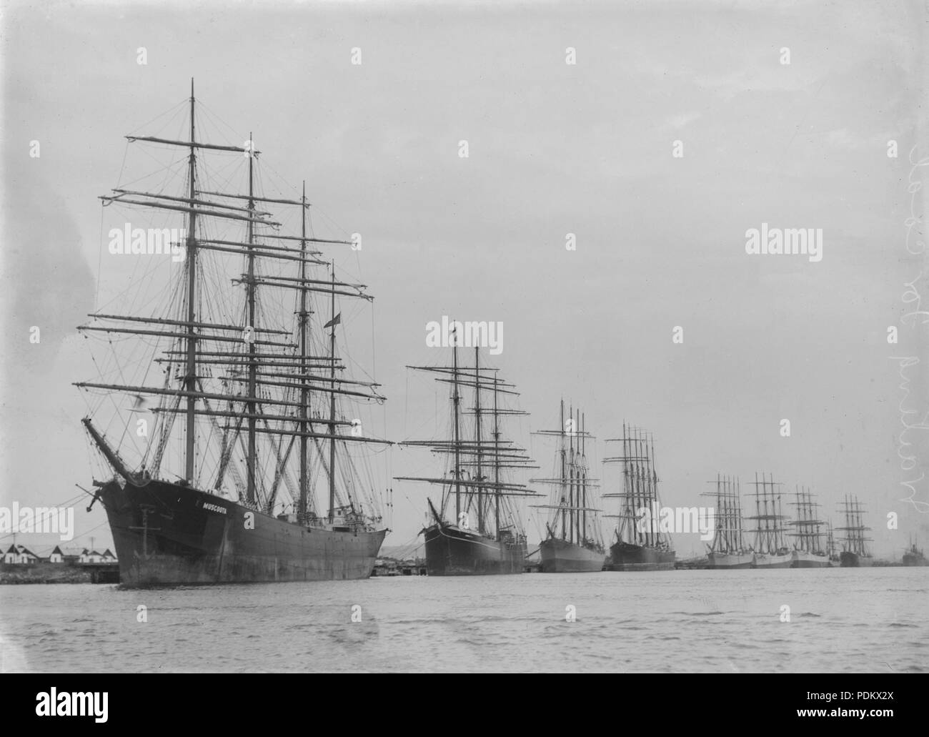 Muscoota hi-res stock photography and images - Alamy