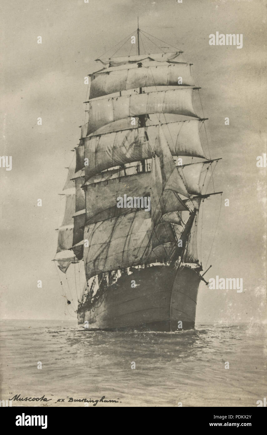 Muscoota hi-res stock photography and images - Alamy