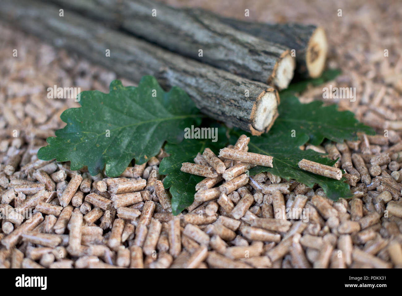 Tree sticks oak wood, leaves and pellets made of such materials Stock ...