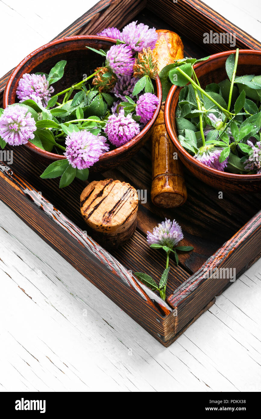 Harvesting of clover hi-res stock photography and images - Alamy