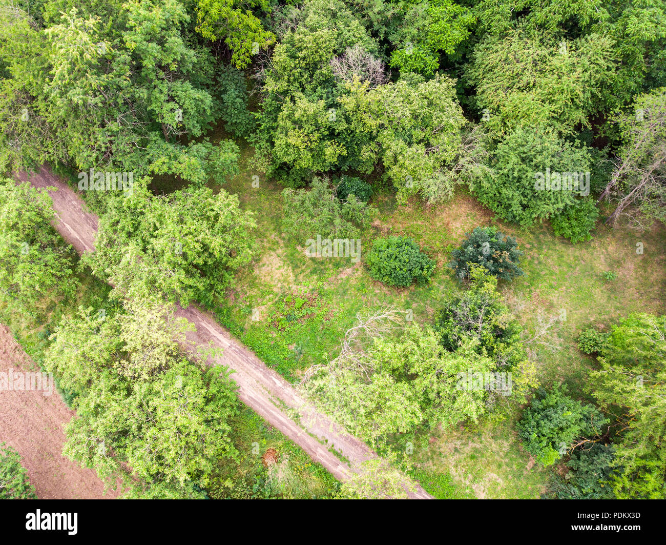 Summer, spring, country road hi-res stock photography and images - Alamy