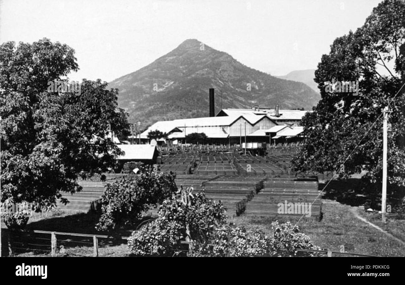 101 Queensland State Archives 1222 Mulgrave Central Sugar Mill ...