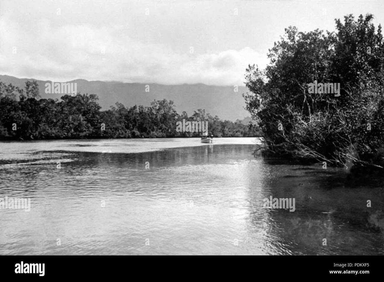 Russell river queensland hi-res stock photography and images - Alamy
