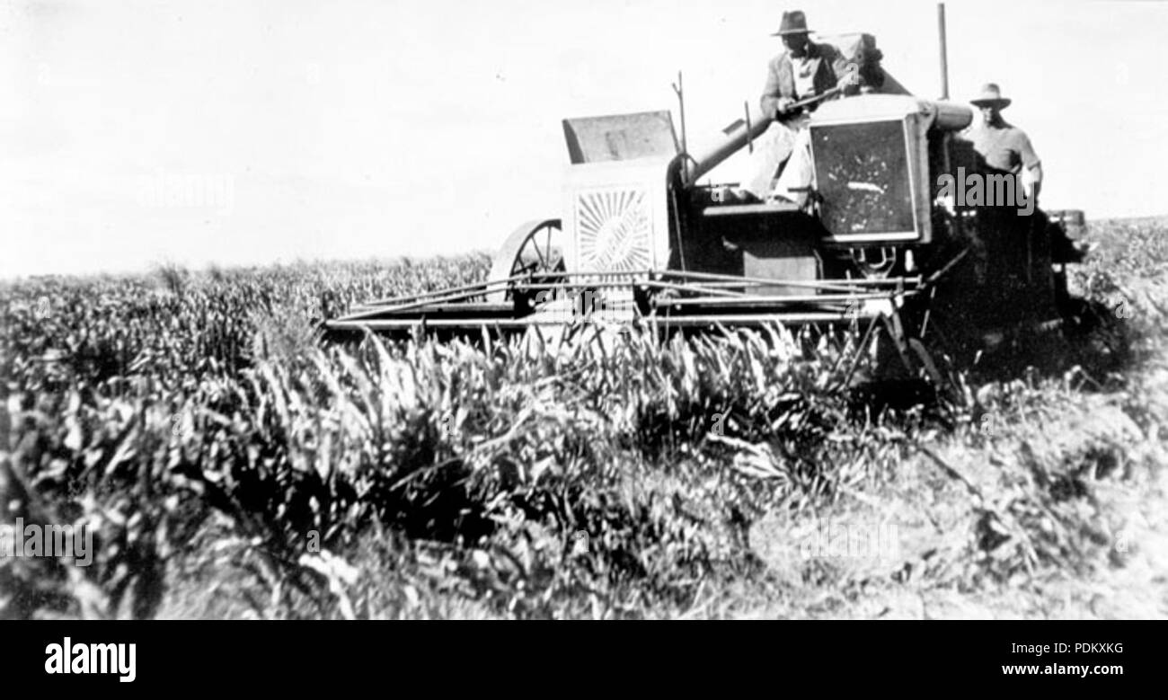 115 Queensland State Archives 4329 Autoheader harvesting crop of ...
