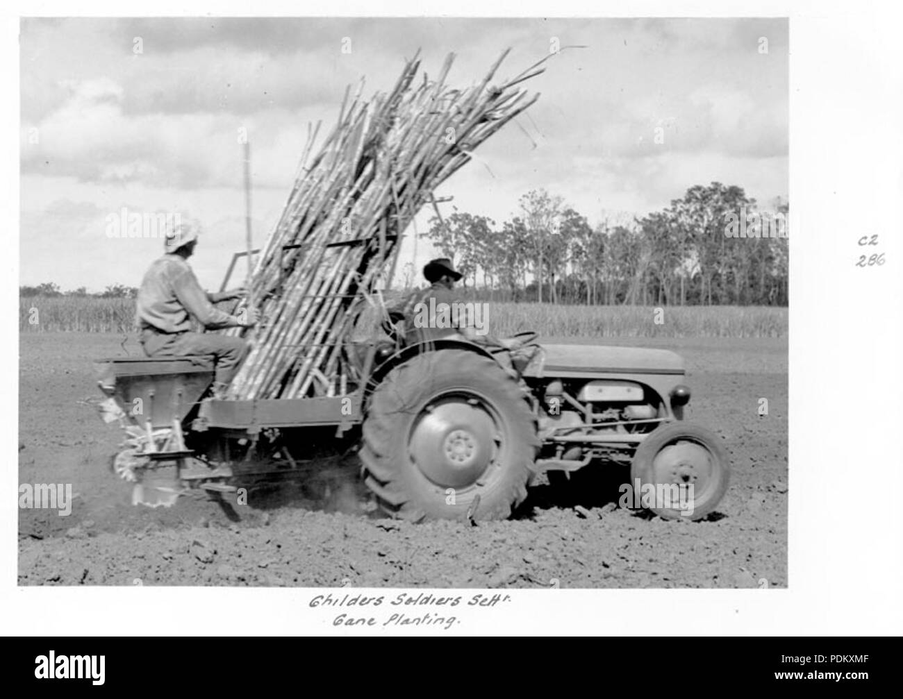 115 Queensland State Archives 4351 Cane planting at the Childers ...