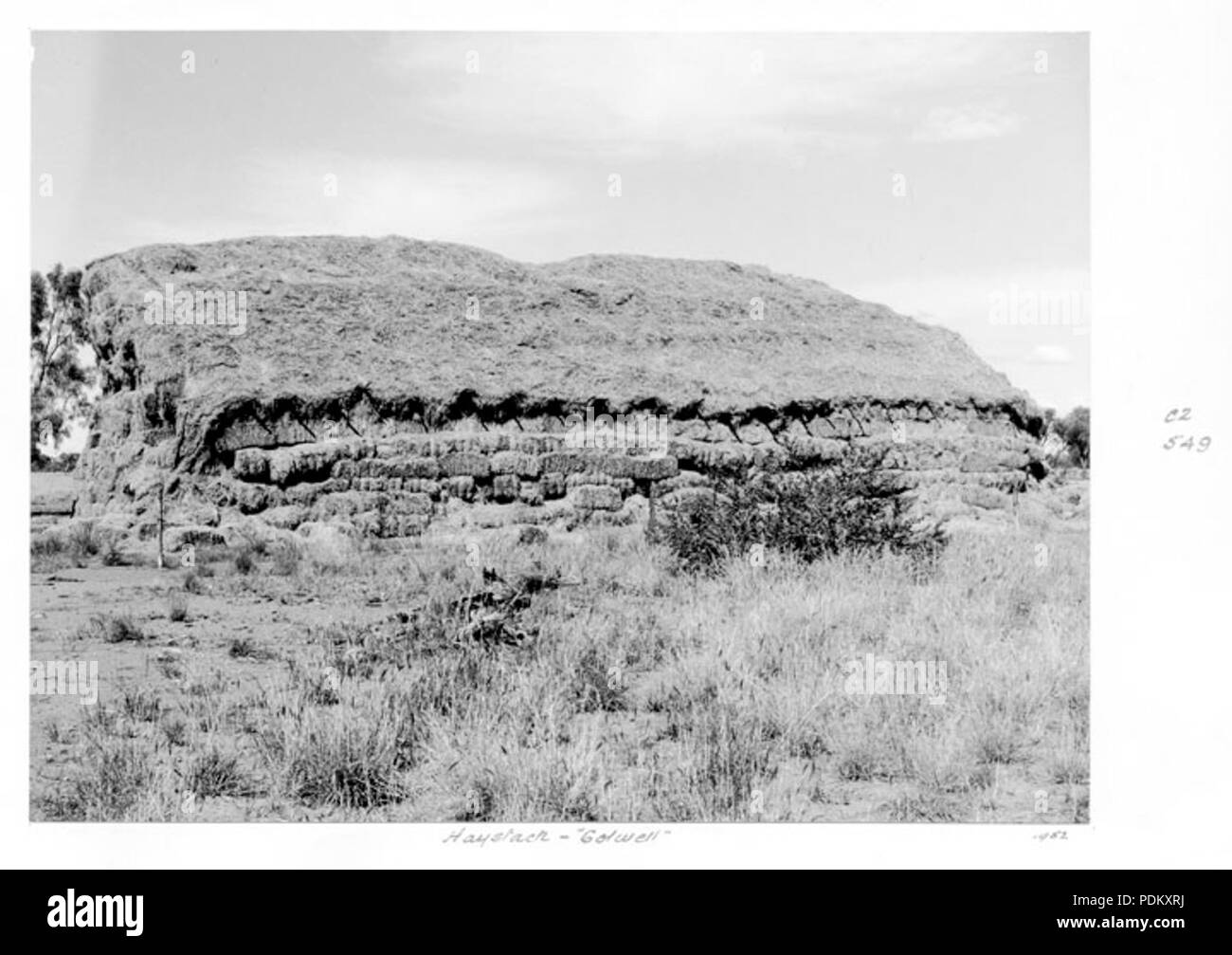 Queensland history Cut Out Stock Images & Pictures - Alamy