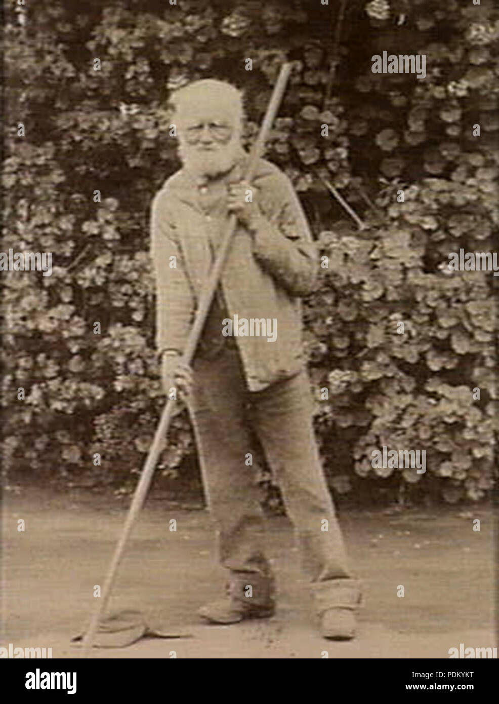 128 Sammy Cox, Tasmania, 1890 Stock Photo - Alamy