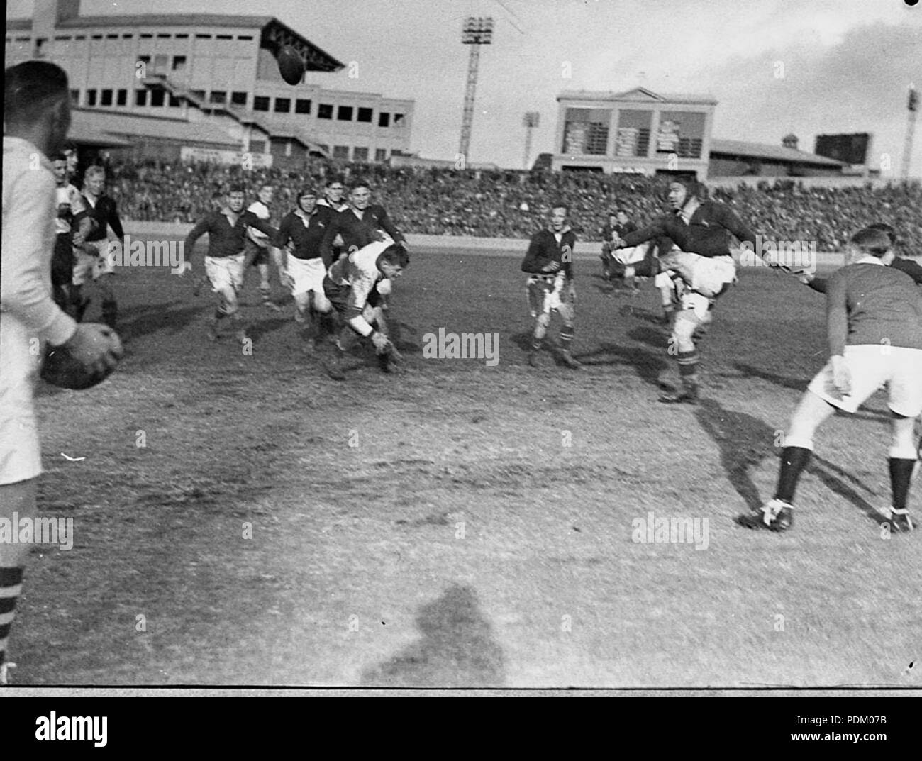 139 SLNSW 20223 Springboks v NSW Stock Photo - Alamy