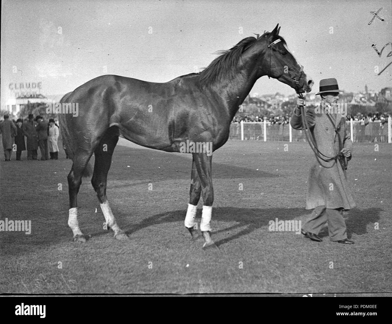 Randwick sydney racecourse hi-res stock photography and images - Alamy
