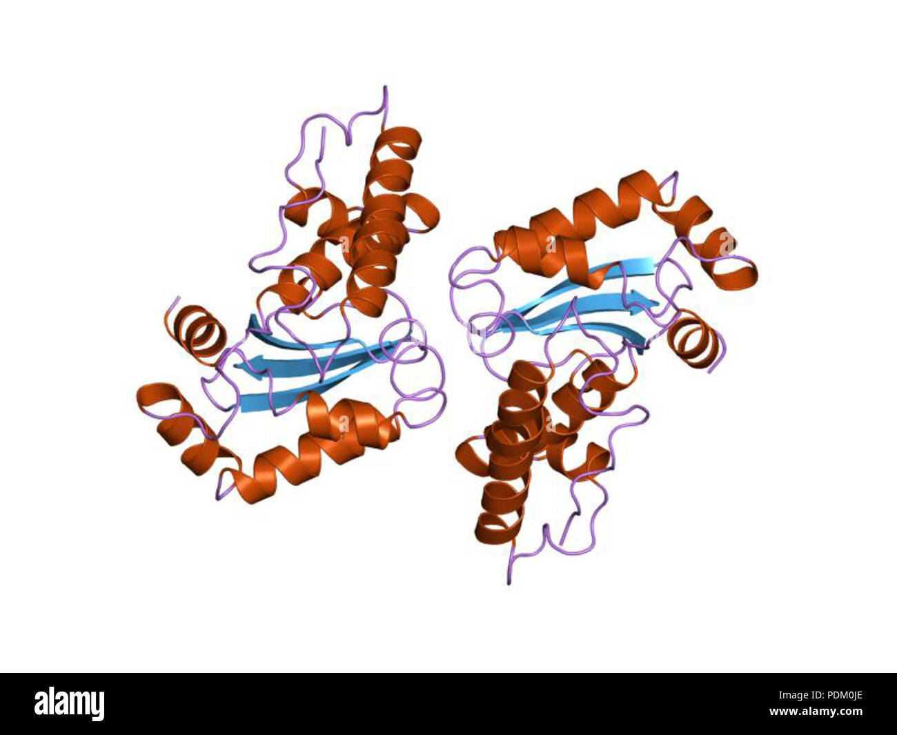 55 PDB 1isa EBI Stock Photo - Alamy